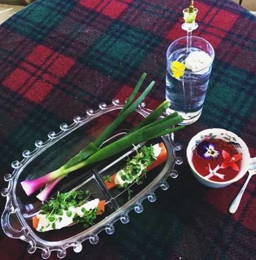 Chef’s Garden: A Modern Guide to Common and Unusual Vegetables – With ...