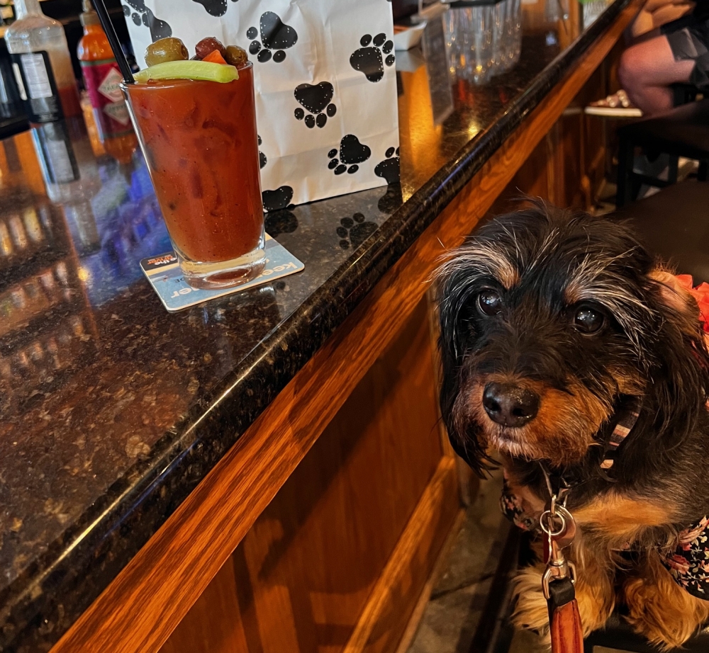Madam enjoys dog-friendly Charles Village Pub in Towson – Luxe & Down ...